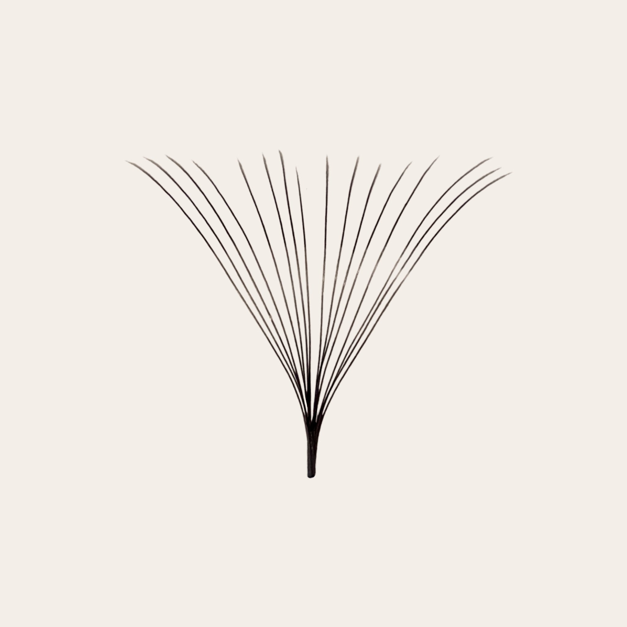 16D Premade Lash Fans – Mega Volume XL Tray | GT Lash Co.